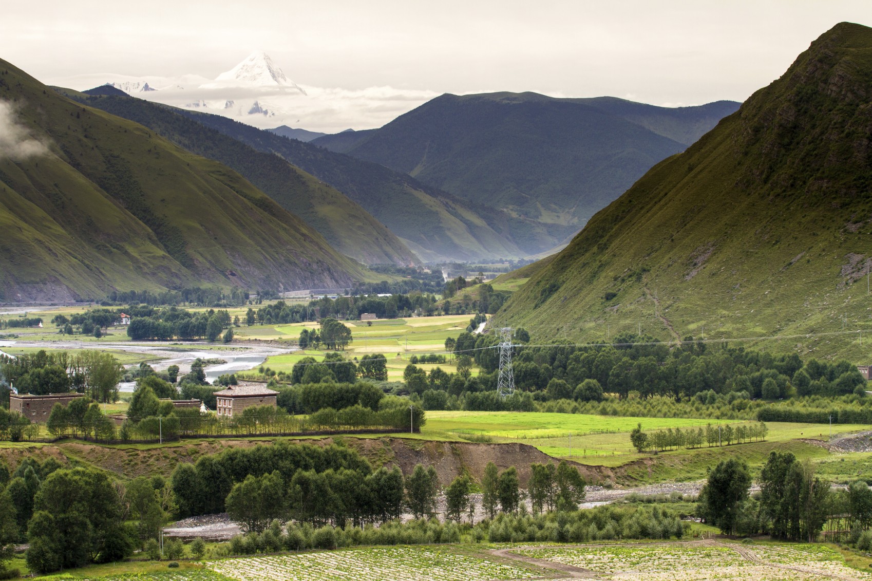 UPM supports new ClimateSeed climate-action platform with Gold Standard ...
