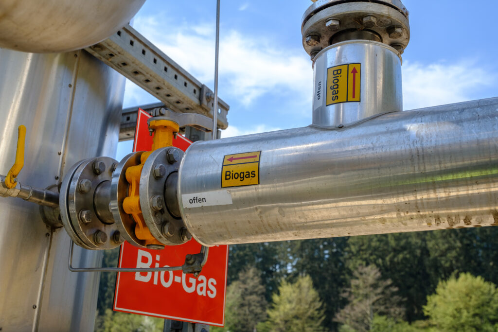 Biogas Production for Bangladesh: Feasibility Study of Biomass to ...
